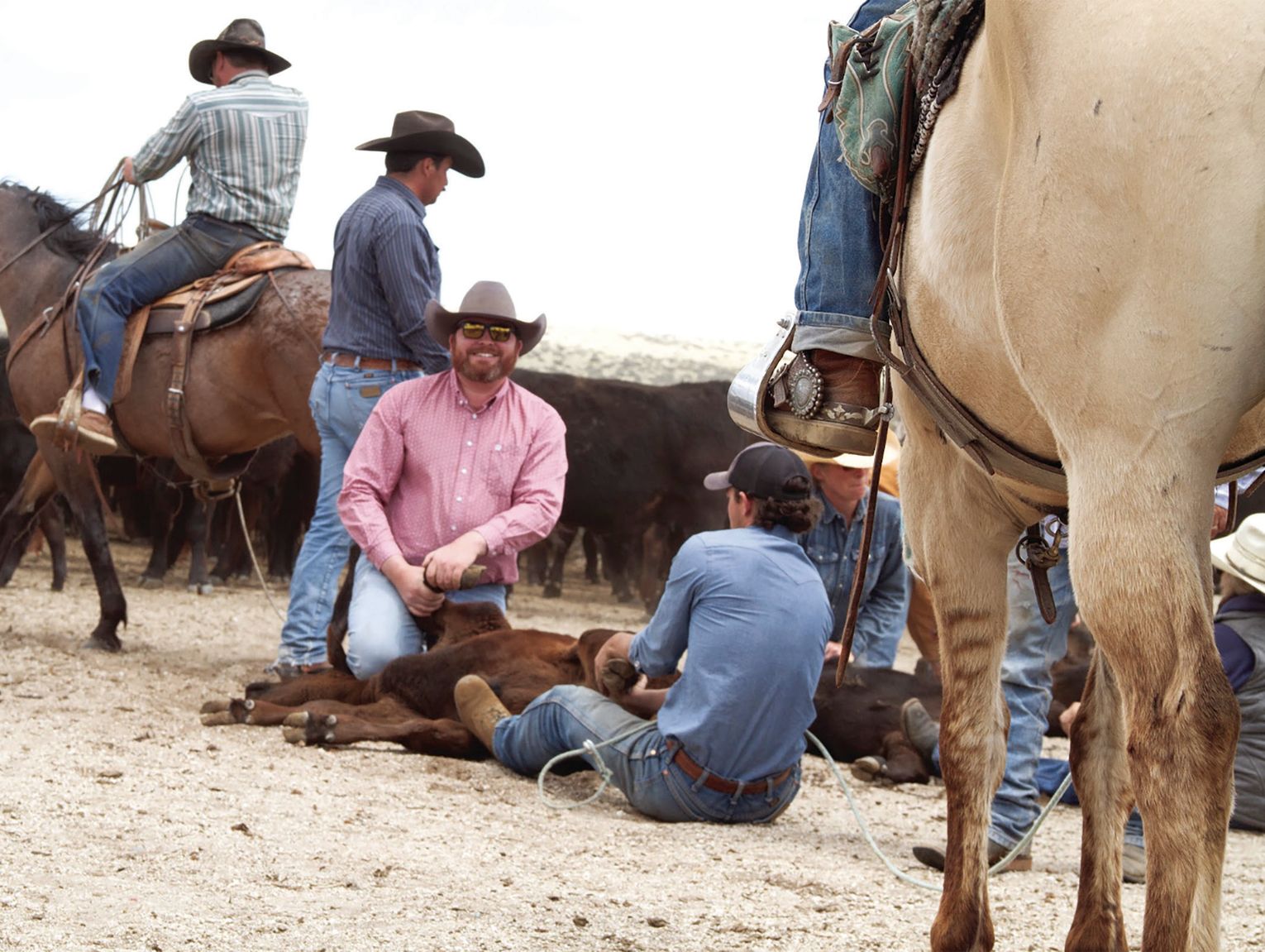 Branding – a spring ritual for ranching communities